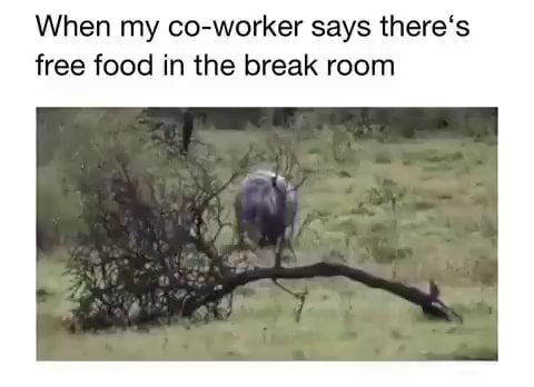 Did somebody say “Free food”? - When my co-worker says there's free ...