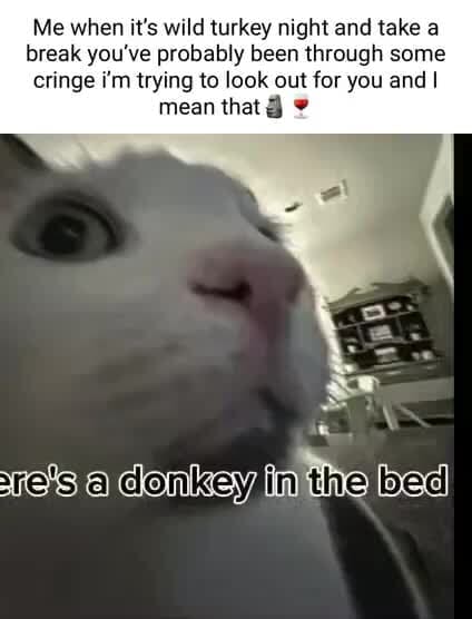 Me when it's wild turkey night and take a break you've probably been ...