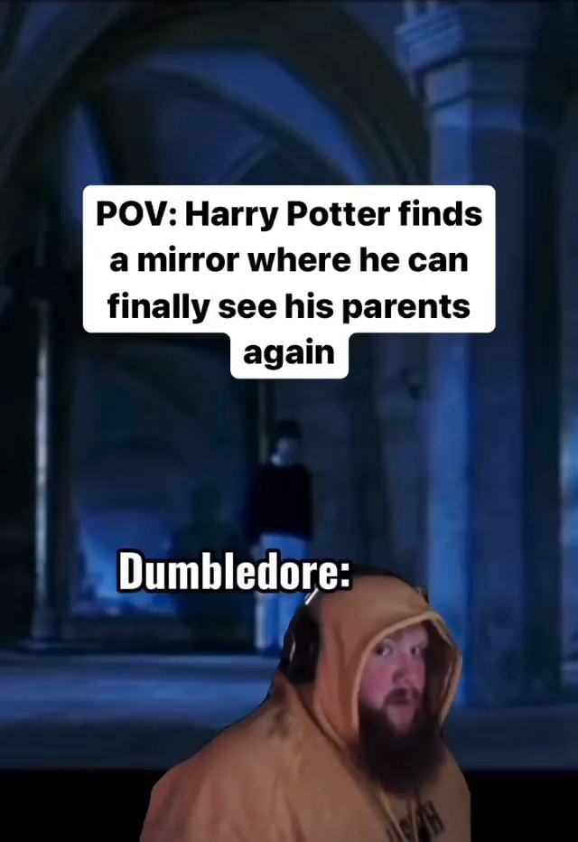 POV: Harry Potter finds a mirror where he can finally see his parents ...