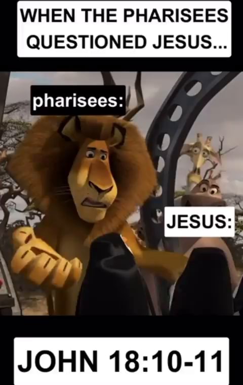WHEN THE PHARISEES QUESTIONED JESUS... pharisees: JESUS: JOHN - iFunny