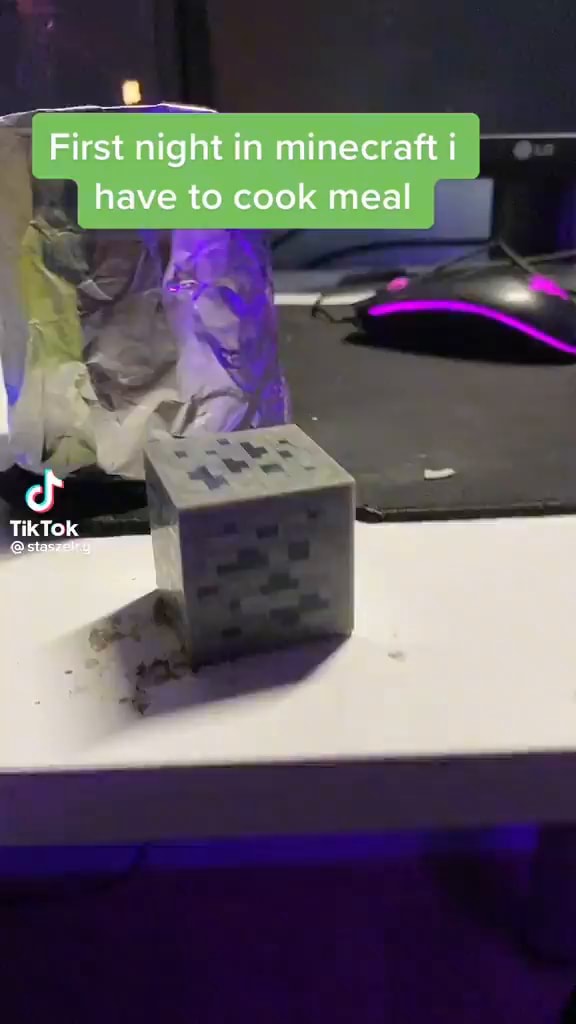 First night in minecraft I have to cook meal TikTok - iFunny