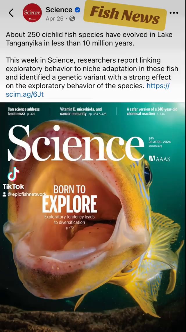 Apr About 250 cichlid fish species have evolved in Lake Tanganyika in ...