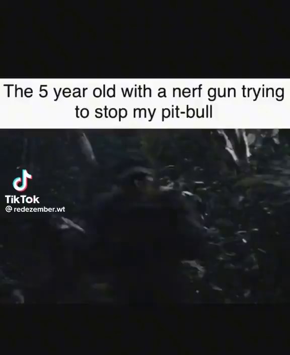 The 5 year old with a nerf gun trying to stop my pit-bull cc TikTok ...