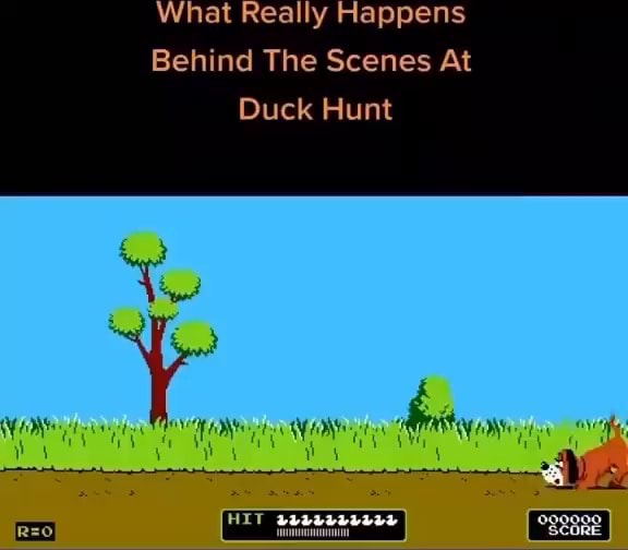 What Really Happens Behind The Scenes At Duck Hunt - iFunny