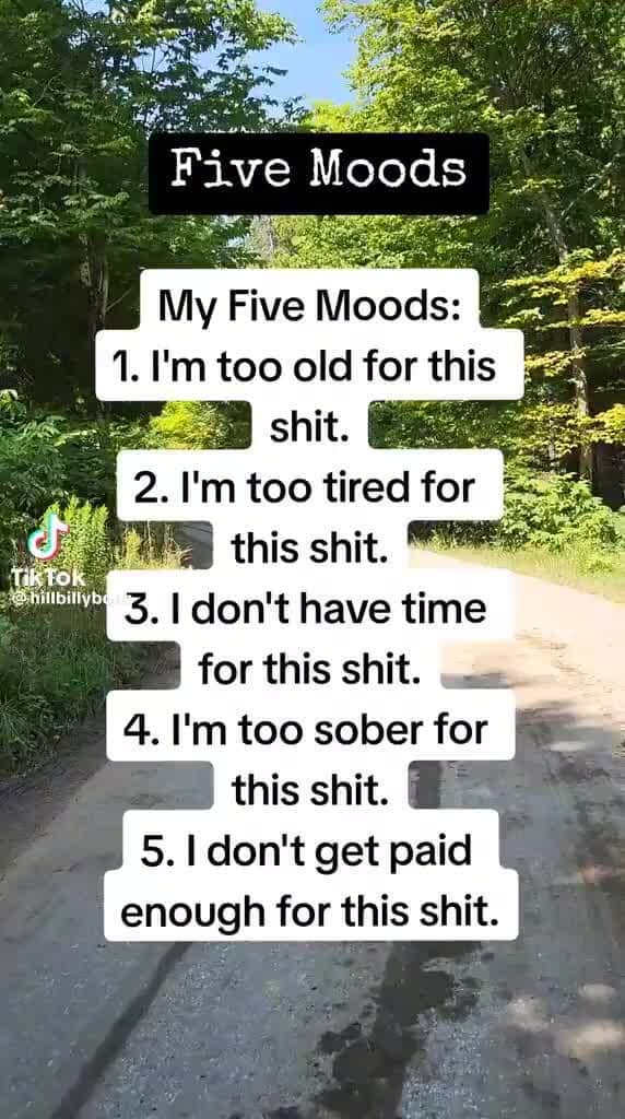 Five Moods My Five Moods: 1. I'm too old for this 2. I'm too tired for ...