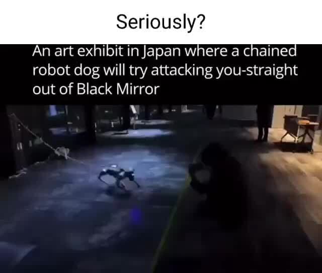 Seriously? An art exhibit in Japan where a chained robot dog will try ...