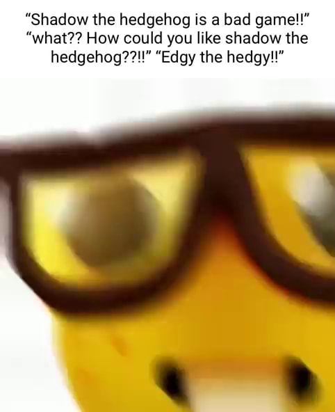 "Shadow the hedgehog is a bad game!!" "what?? How could you like shadow ...