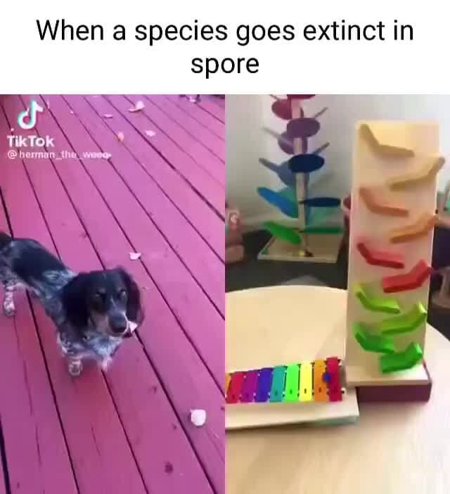 When species goes extinct in spore TikTok - iFunny
