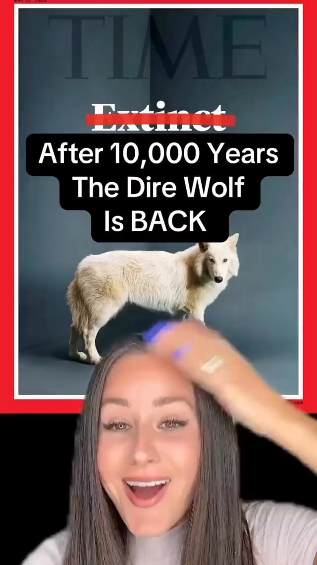 AA CREES After 10,000 Years The Dire Wolf Is BACK - iFunny