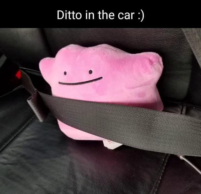 Ditto in the car - iFunny