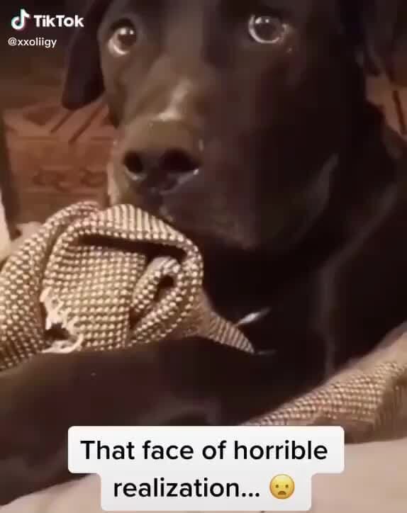 Y That face of horrible realization... = - iFunny