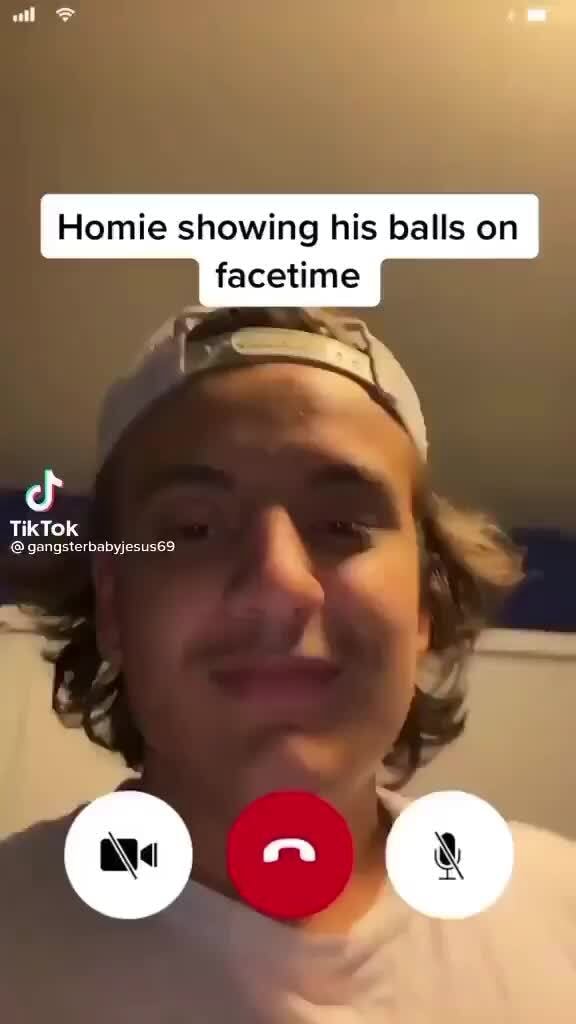 Stupid Hot 🥵 - Hamie showing his balls on facetime Tik Tok pony - iFunny