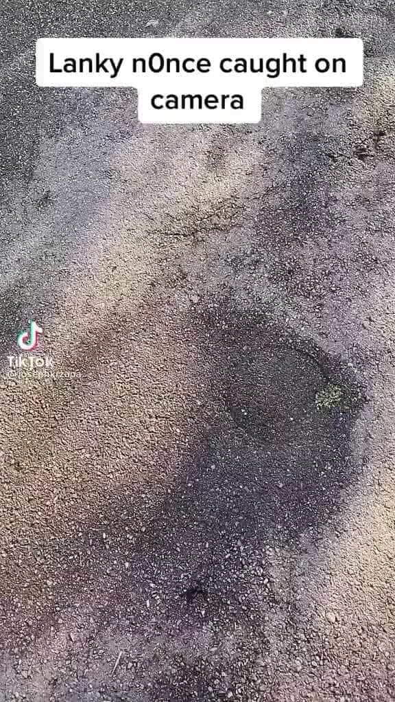 Lanky nOnce caught on era - iFunny