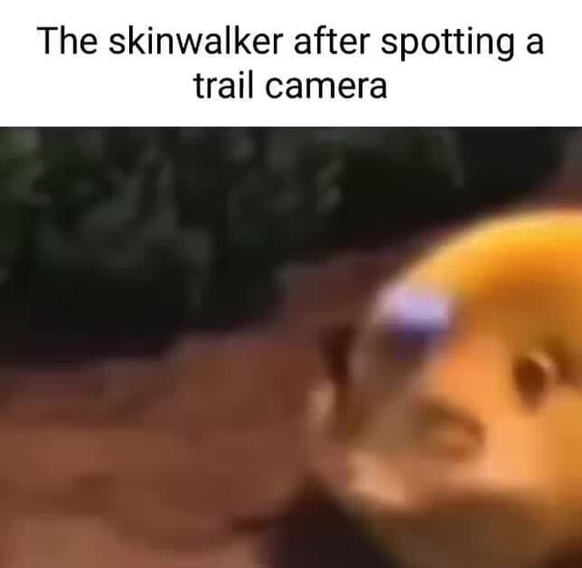 The skinwalker after spotting a trail camera - iFunny