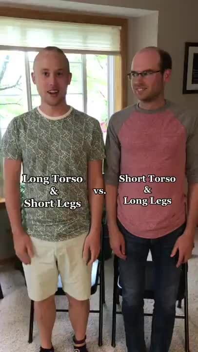 Cong Torso. Short Torso & va. & Short Legs Long Legs - iFunny