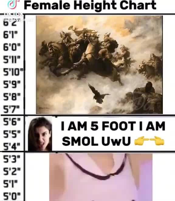 Female Height Chart 5 FOOT! AM SMOL UWU - iFunny