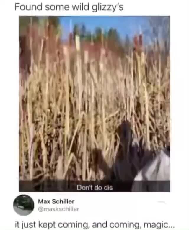 Found some wild glizzy's Max Schiller @max dis chilier - iFunny