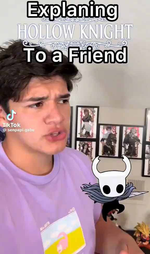Explaning HOLLOW KNIGHT To a Friend TiK TOK - iFunny