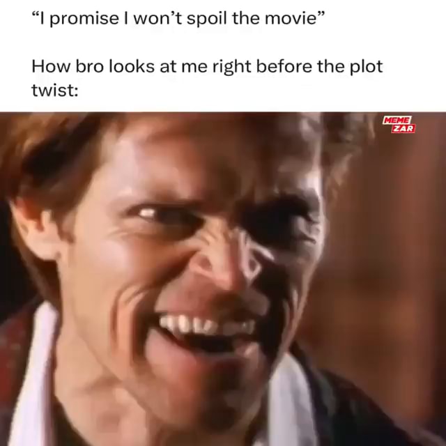Promise I won't spoil the movie" How bro looks at me right before the ...