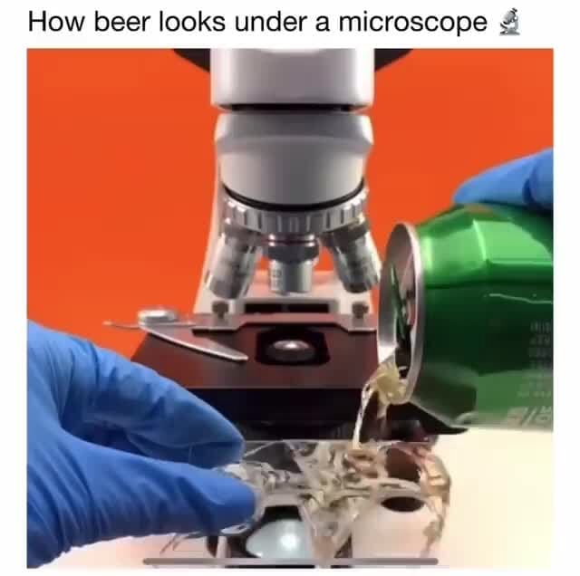 How beer looks under a microscope - iFunny