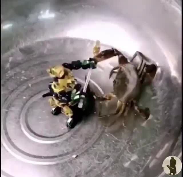 Video memes 5DAqaLy1A by The_Wayfaring_Stranger: 72 comments - iFunny