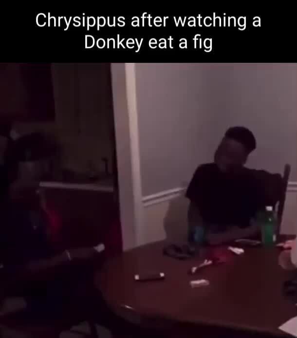 Chrysippus after watching a Donkey eat a fig - iFunny