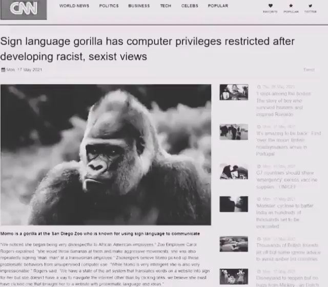 Sign language gorilla has computer privileges restricted after ...