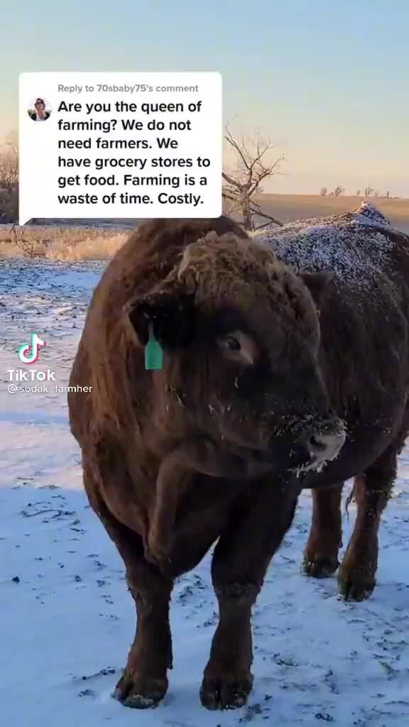Are you the queen of farming? We do not need farmers. We have grocery ...