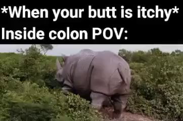 *When your butt is itchy* Inside colon POV: - iFunny