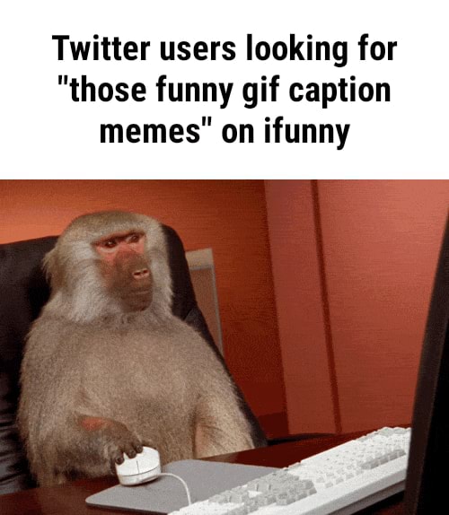 Twitter users looking for "those funny gif caption memes" on ifunny ...