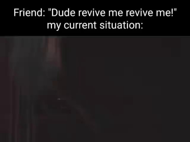 Friend: "Dude revive me revive me!" my current situation: - iFunny