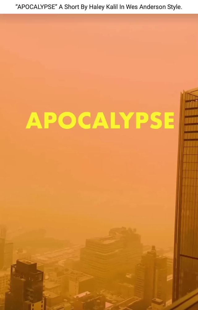"APOCALYPSE" A Short By Haley Kalil In Wes Anderson Style. - iFunny
