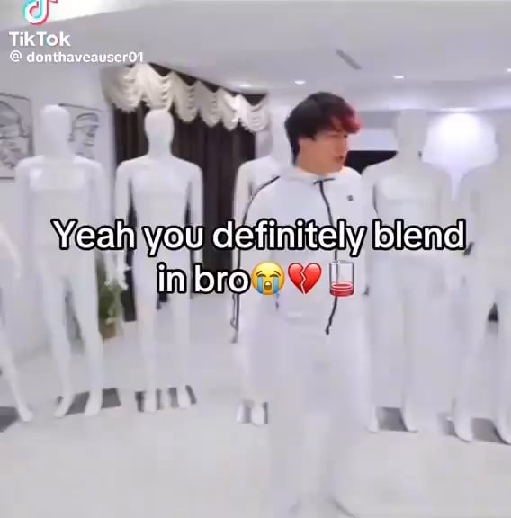 TikTok donthaveayser01 Yeah you definitely blend in bro - iFunny