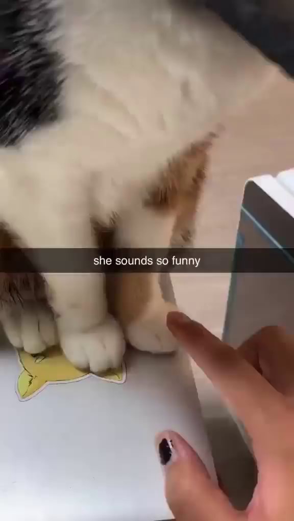 She sounds so funny - iFunny