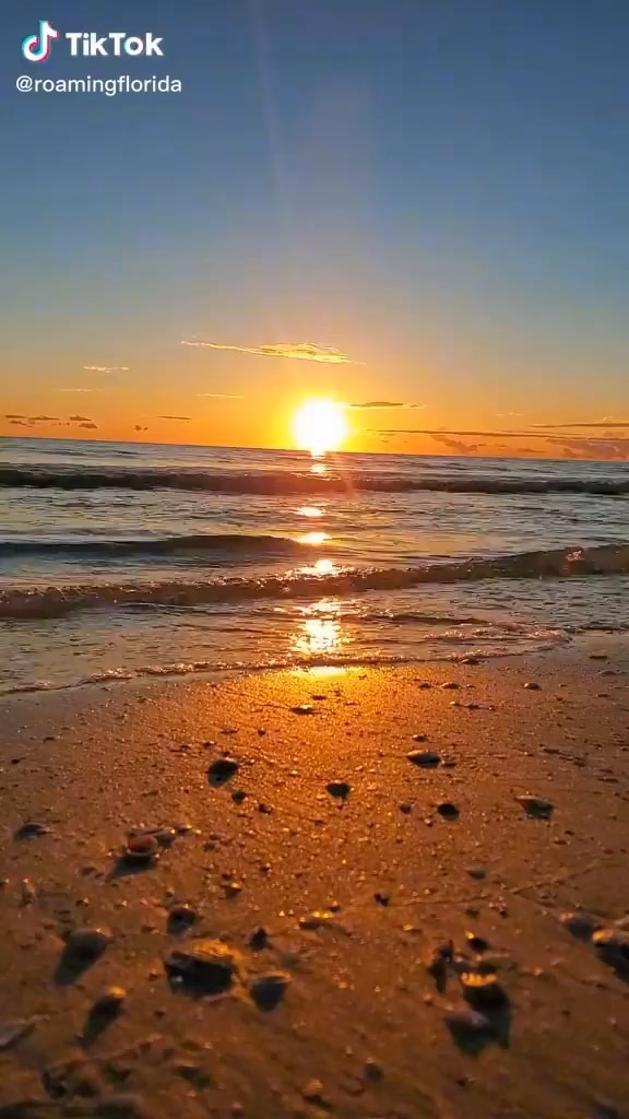 @roaming floriga - iFunny