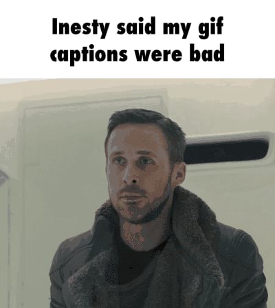 Inesty said my gif captions were bad - iFunny