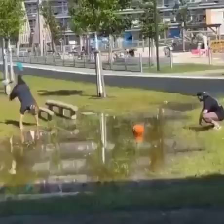 Video memes KCZWZZmc9 by tenuous_awesome_lol_2021: 112 comments - iFunny