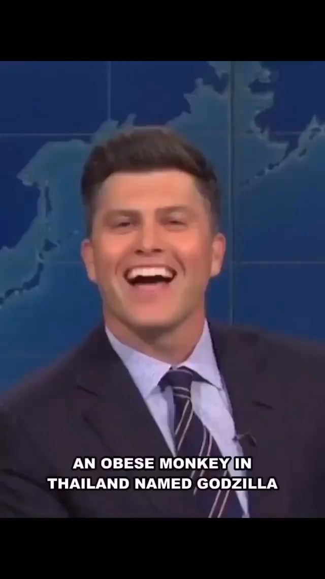 AN OBESE MONKEY IN THAILAND NAMED GODZILLA - iFunny