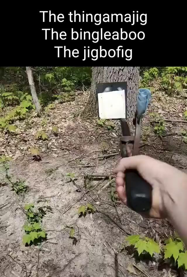 The thingamajig The bingleaboo The jigbofig - iFunny