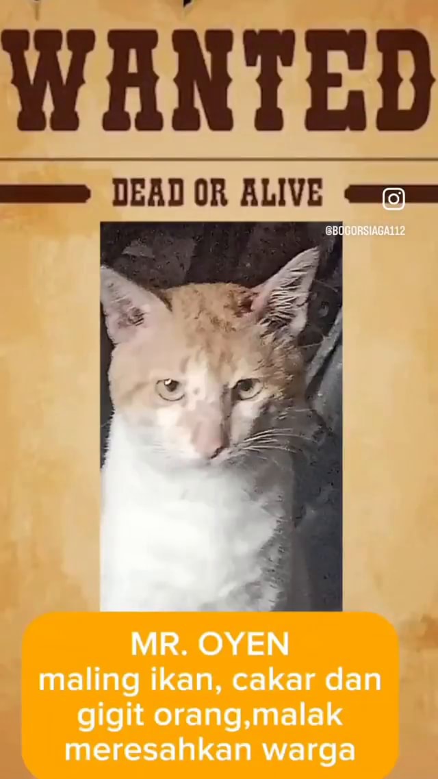 WANTED DEAD OR ALIVE MR. OYEN ma ing ikan, cakar an gig' orang,ma warga ...