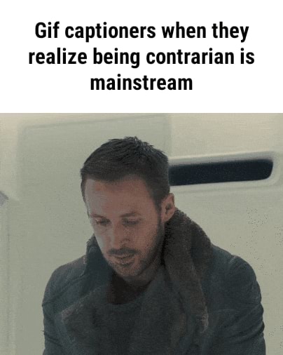 Gif captioners when they realize being contrarian is mainstream - Gif ...