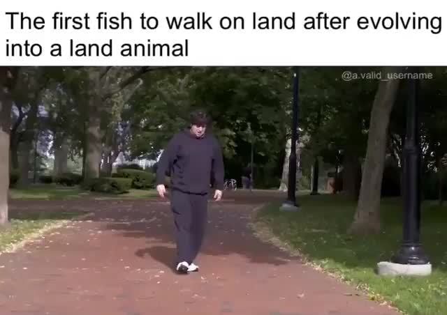 The first fish to walk on land after evolving into a land animal - iFunny