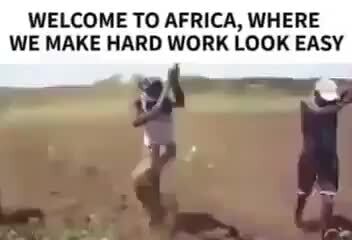 WELCOME TO AFRICA, WHERE WE MAKE HARD WORK LOOK EASY - iFunny