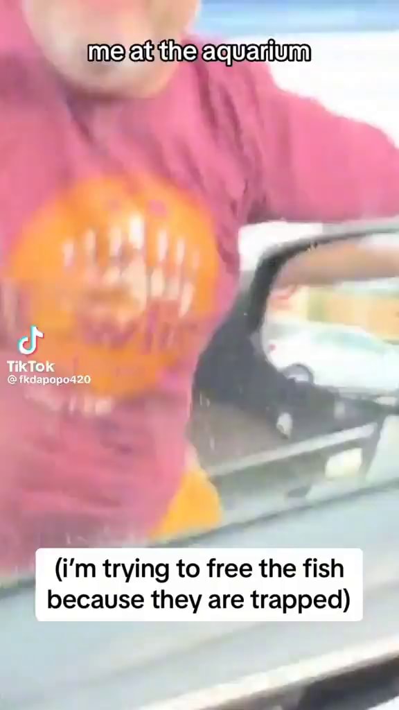 Meat the TikTok fkdapopo420 (i'm trying to free the fish because they ...