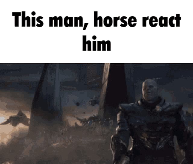 This man, horse react him - iFunny