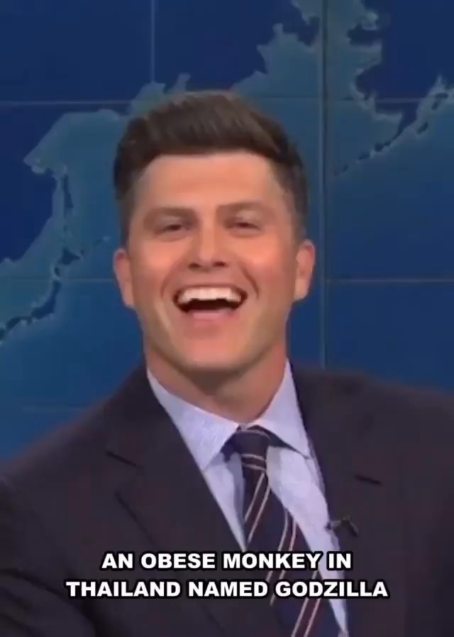 AN OBESE MONKEY IN THAILAND NAMED GODZILLA - iFunny