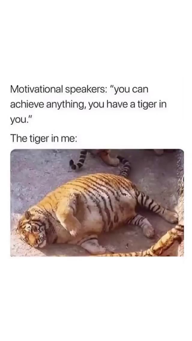 Motivational speakers: "you can achieve anything, you have a tiger in ...