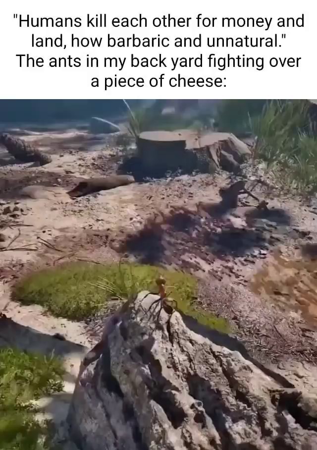 "Humans kill each other for money and land, how barbaric and unnatural ...