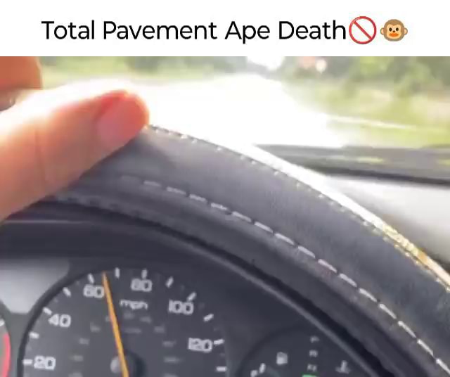 Total Pavement Ape DeathQ - iFunny