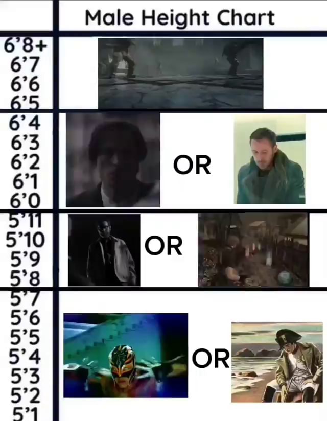 Male Height Chart Ifunny